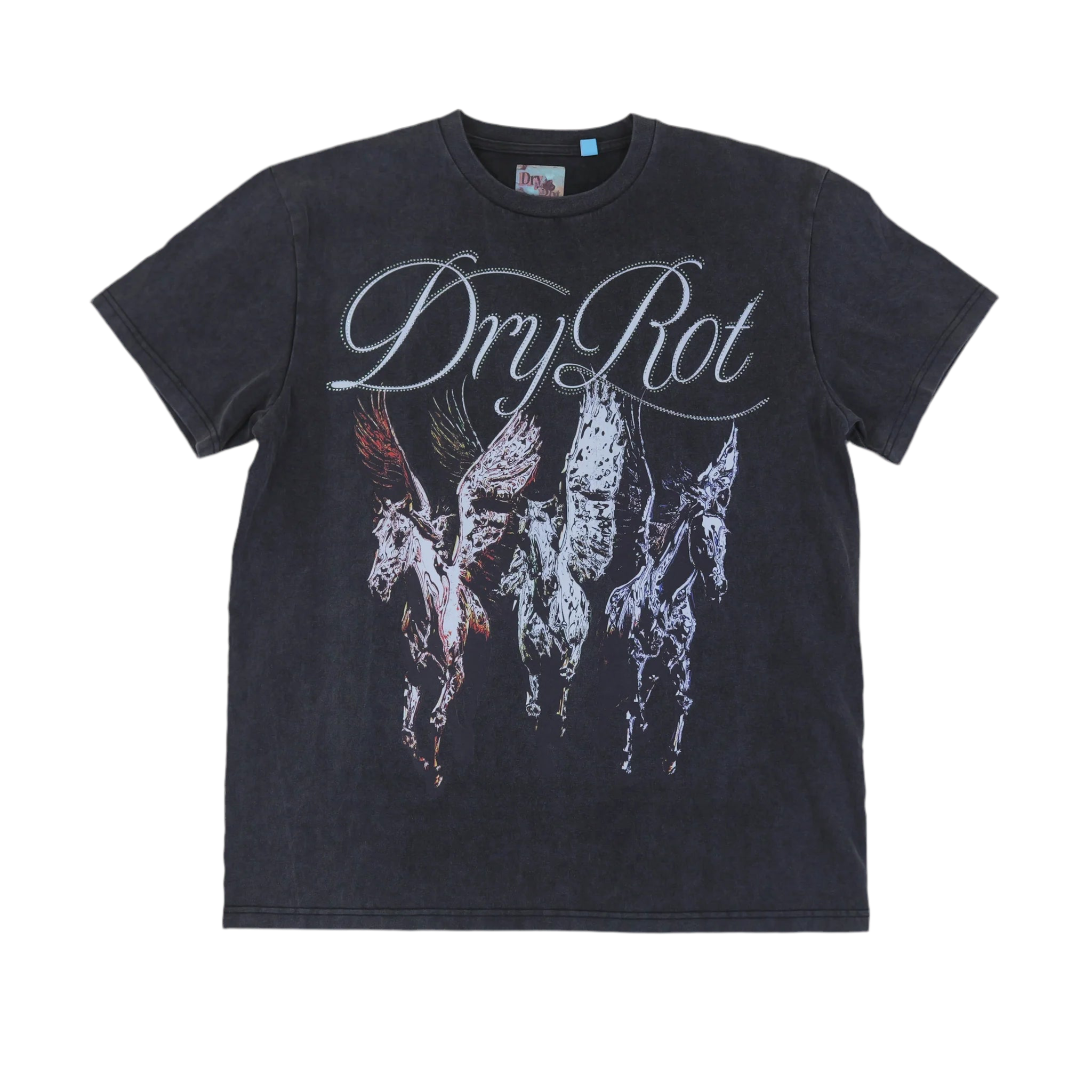 Dry Rot – Sneaker Bar