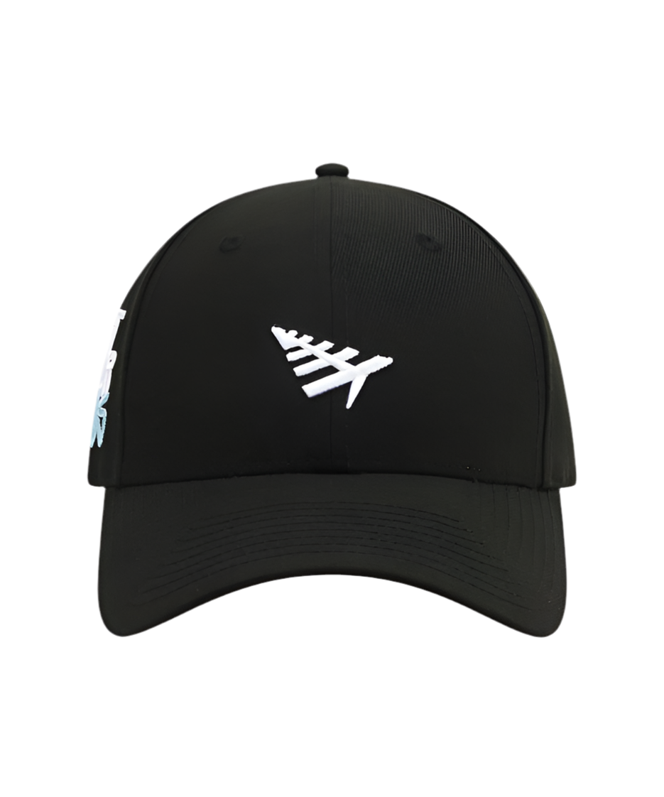Ron Draper X Paper Planes Icon II Dad Hat – Sneaker Bar